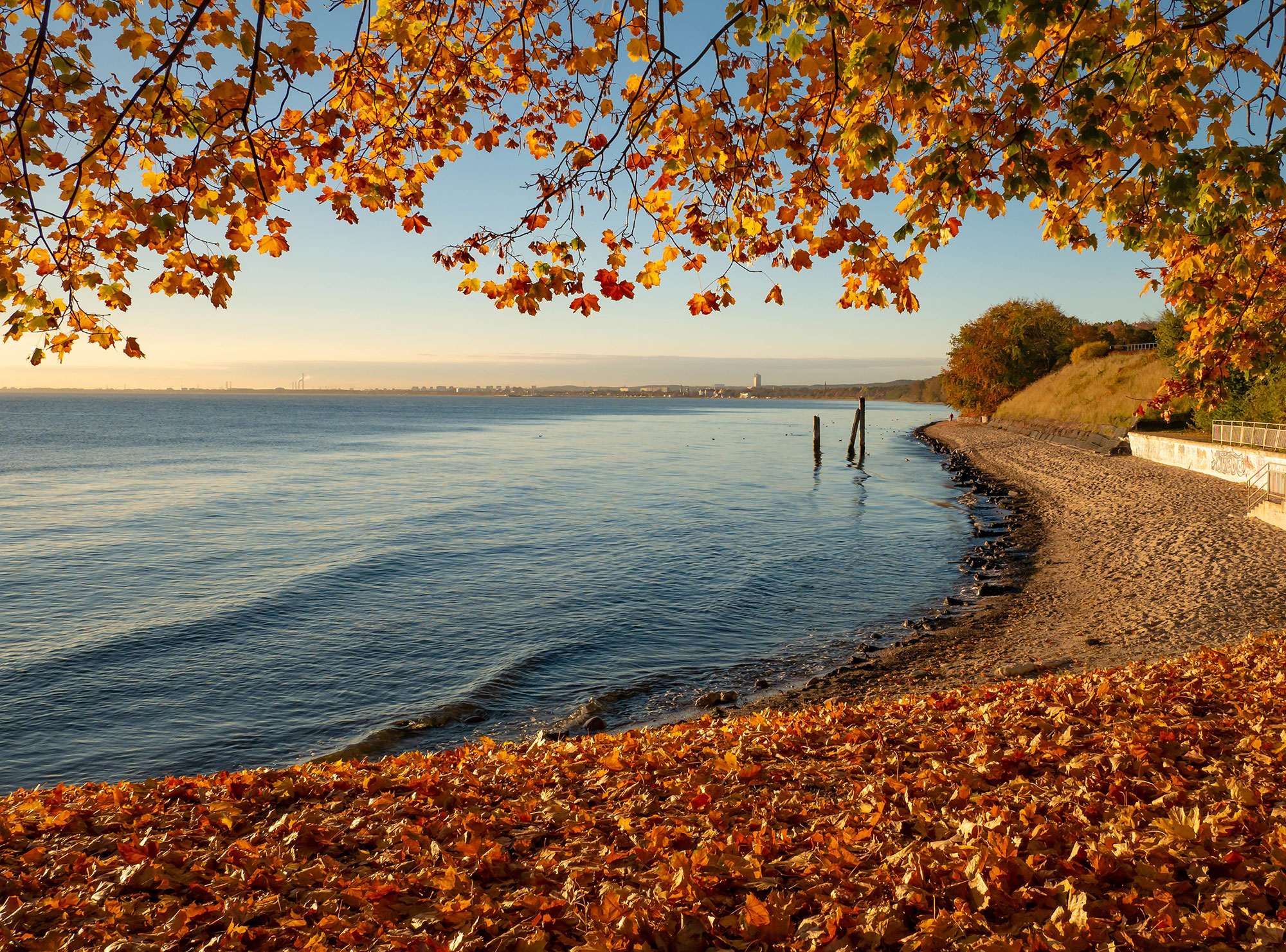 Ein duftender Platz am Kamin ~ Kolumnen