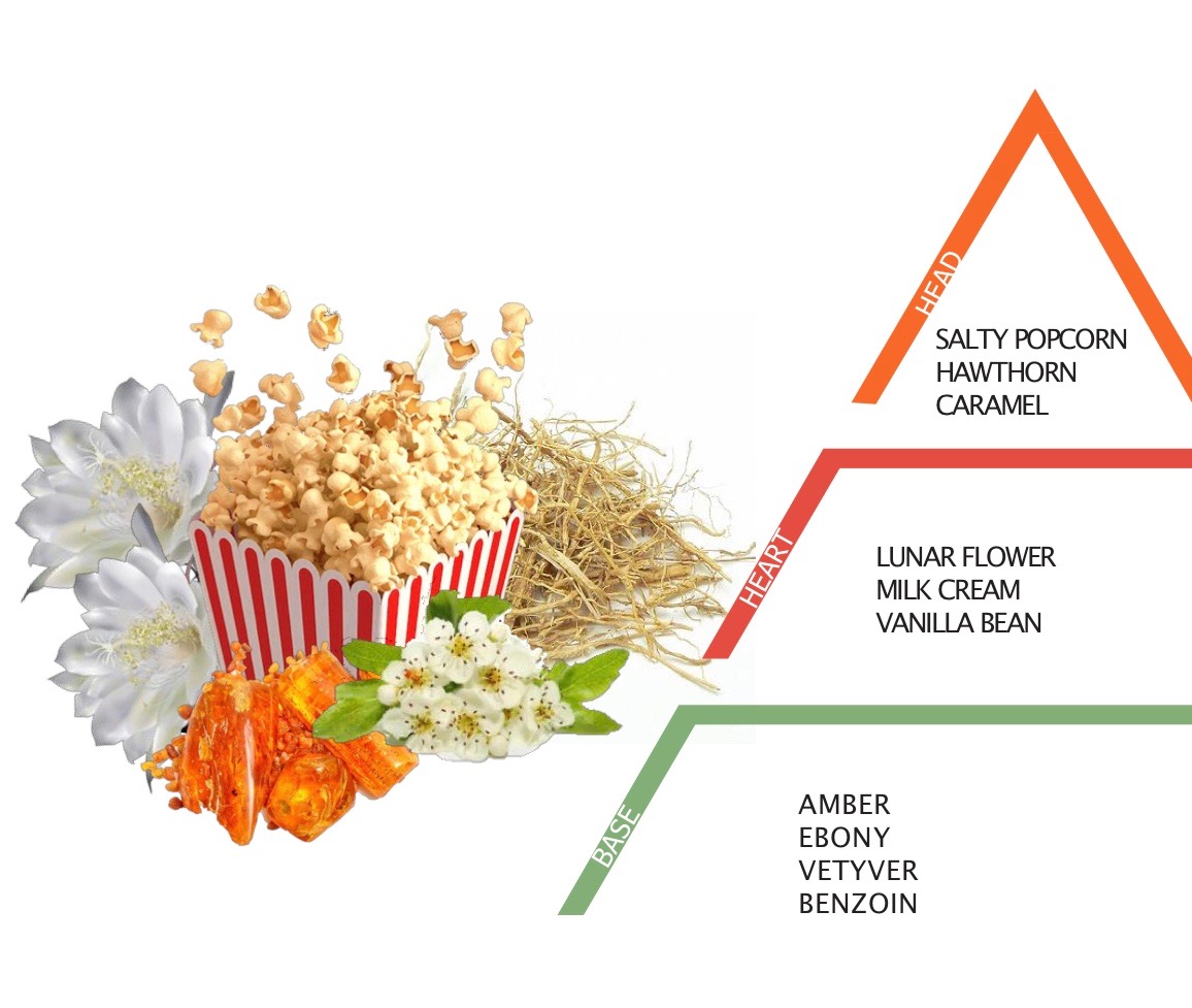 New THOO Perfume: What About Pop ~ Interviews