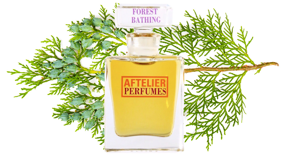 Aftelier Perfumes Forest Bathing: The Space Between Two Trees ...