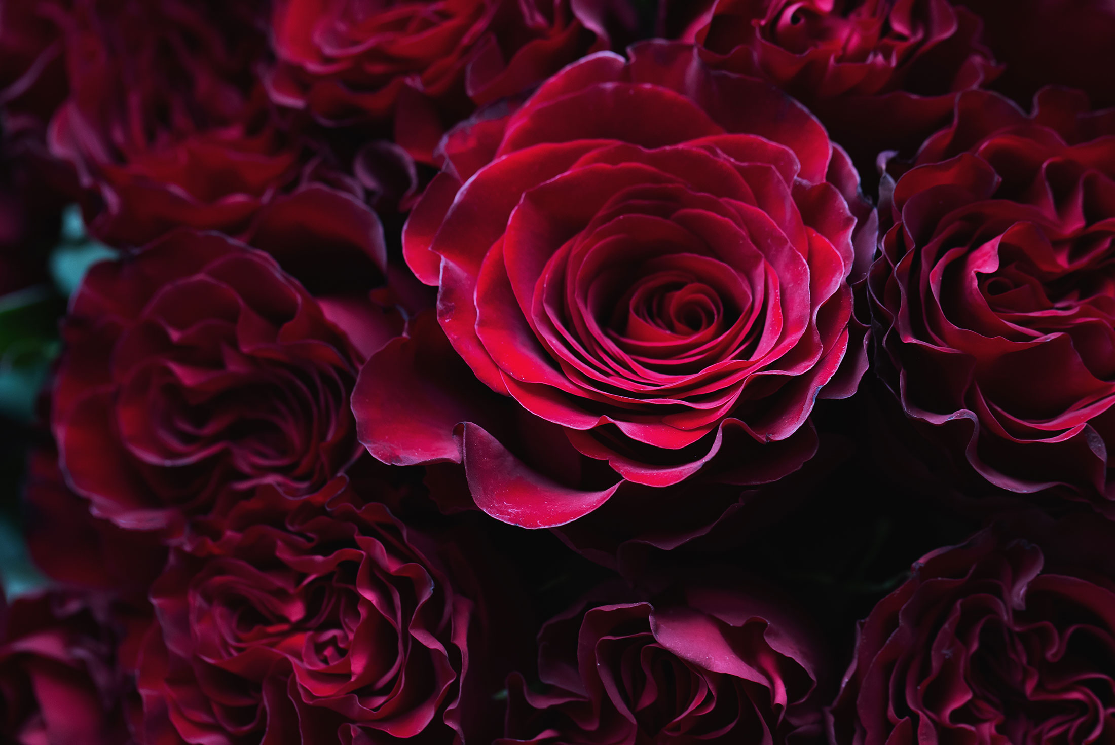 500 Years Of Luxury Semantics ~ Fragrance Reviews