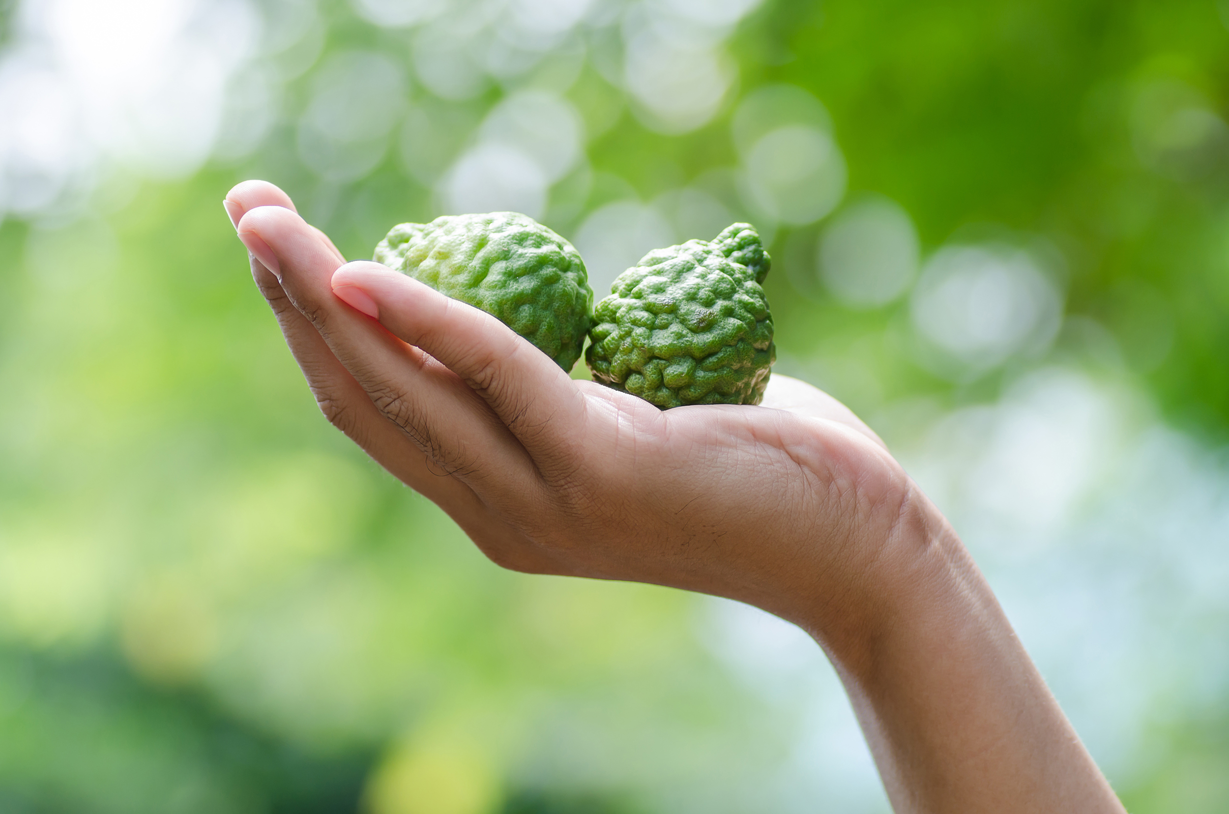 The Best Citrusy Fragrances As An Olfactory Dose Of Vitamin C ~ Columns