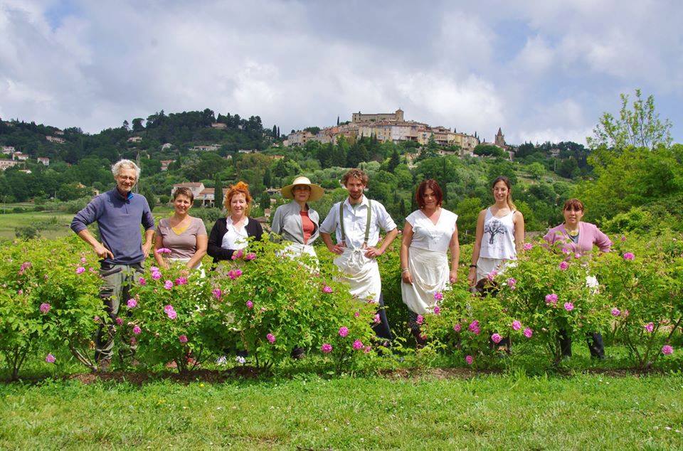 Grasse: The Way of the Rose ~ Raw Materials