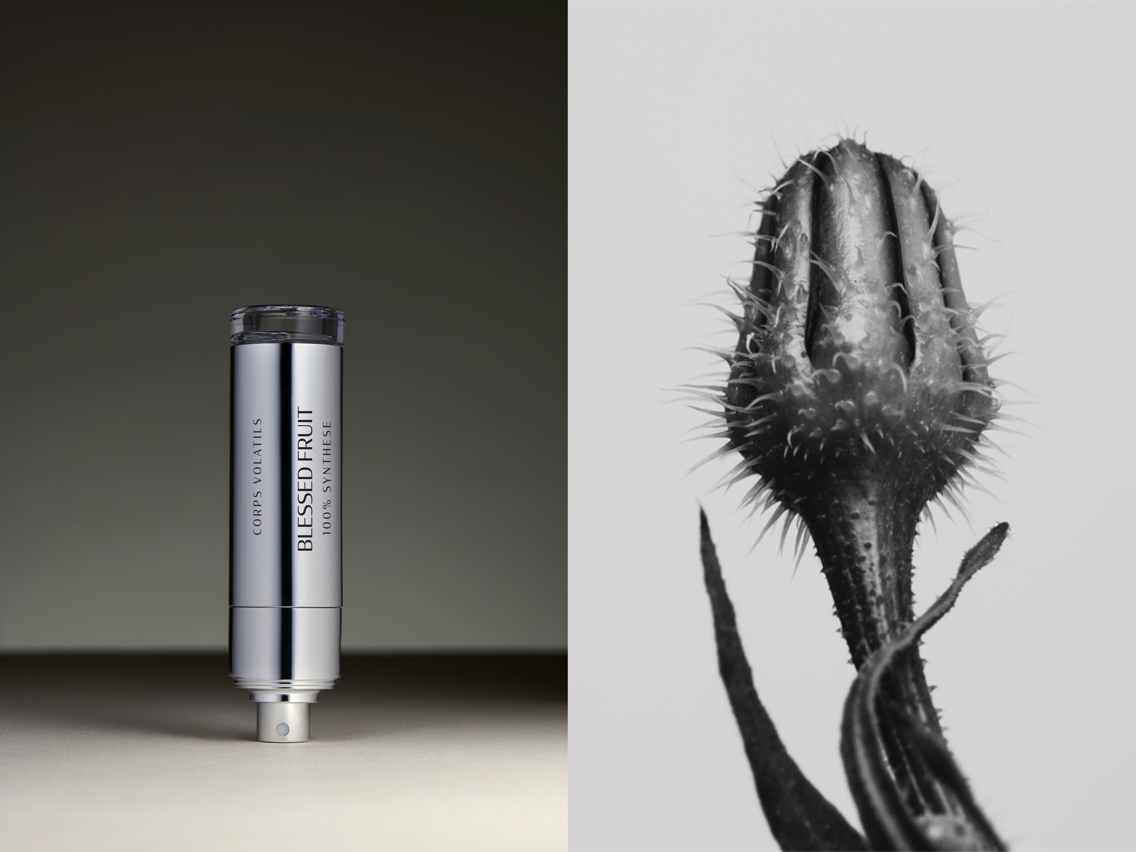 Corps Volatils: Perfume Reinventado ~ Fragrancias Nicho