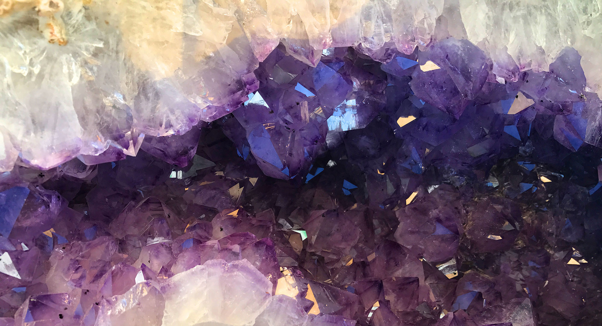 Interlude Black Iris Man: Dark and Decadent ~ Fragrance Reviews