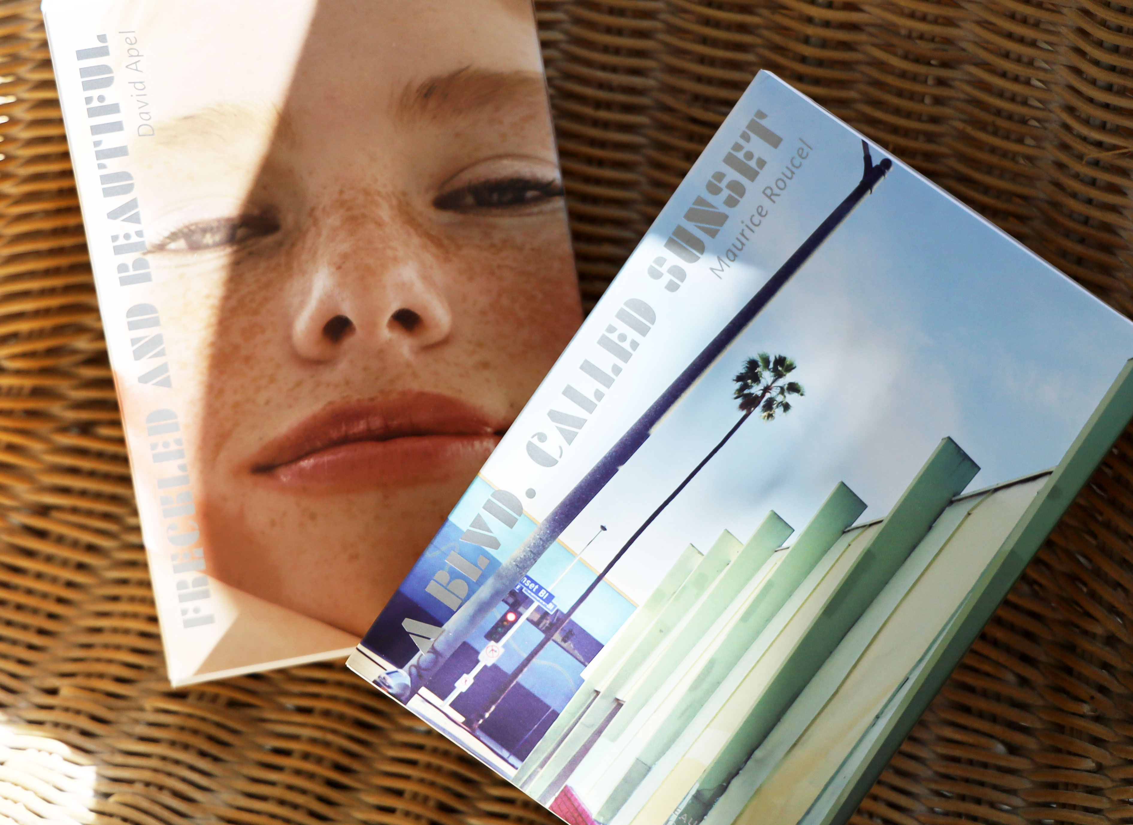 A Blvd. Called Sunset & Freckled and Beautiful by A Lab on Fire ...