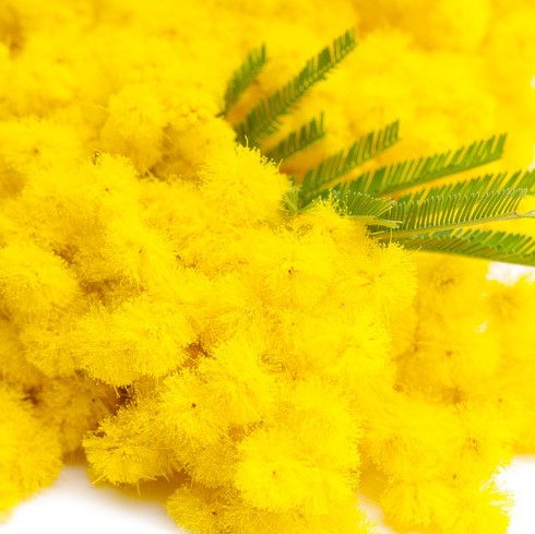 New Rituals Fragrance: L'Eclat ~ New Fragrances