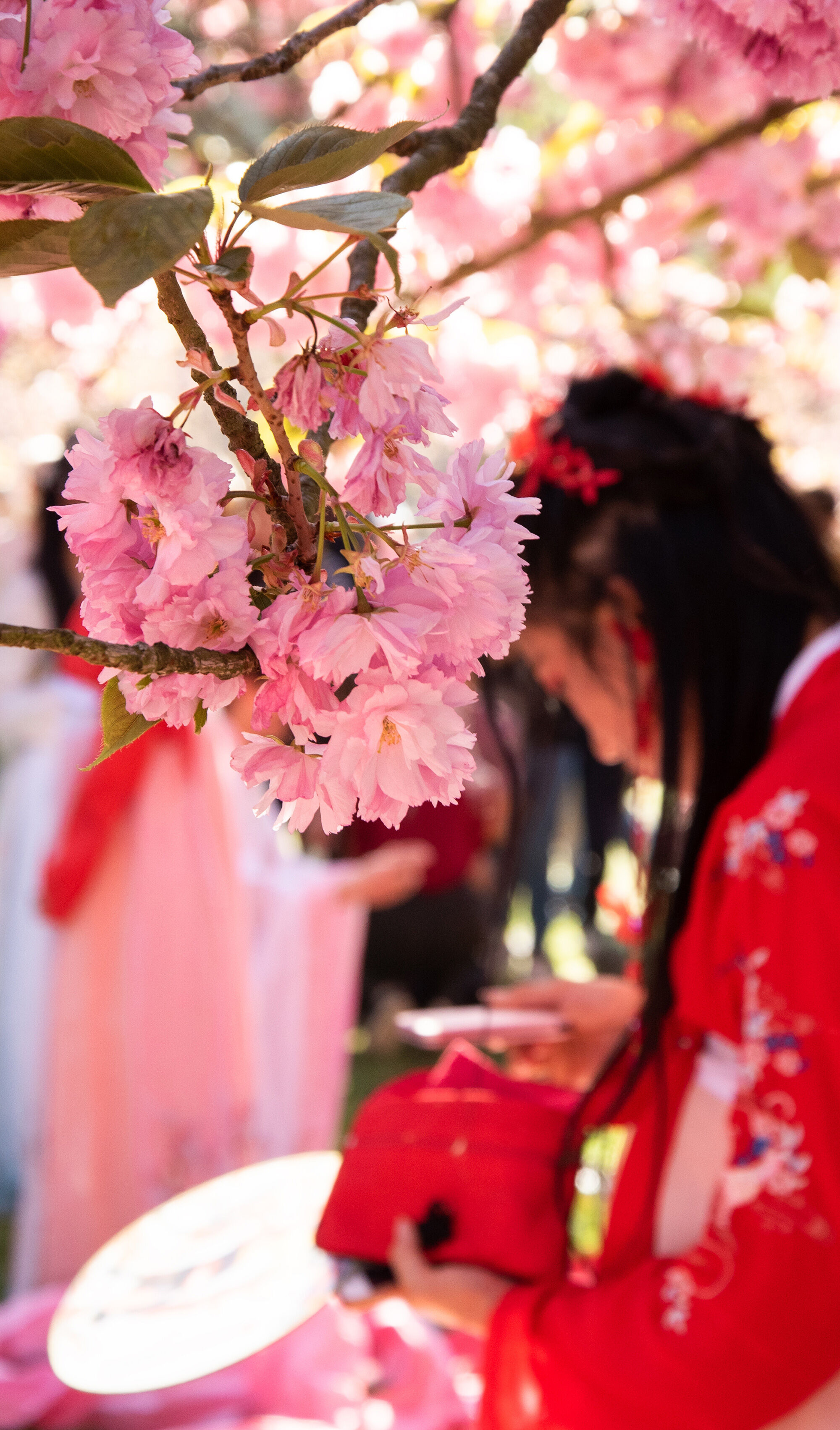 Eau de Ginza by Hermès — A Floral Haiku ~ Fragrance Reviews