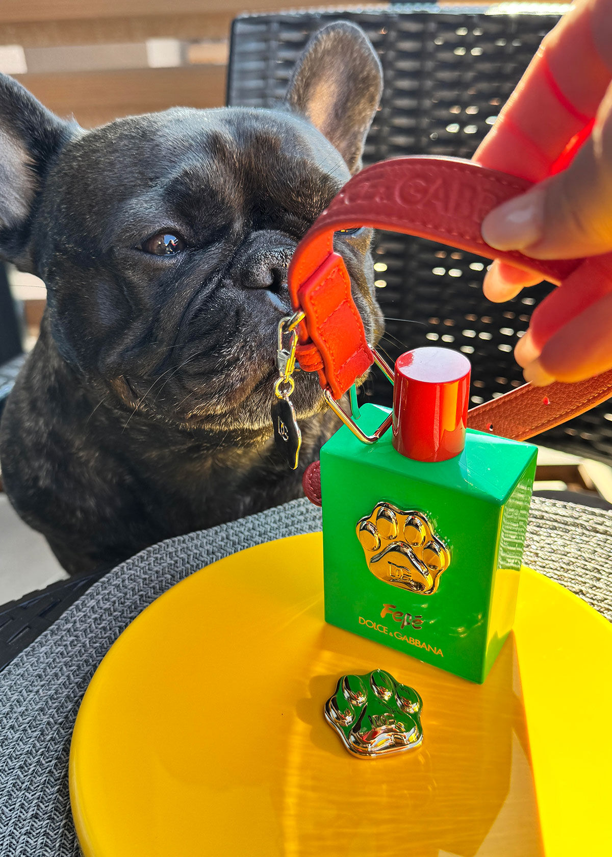 Dolce&Gabbana Fefé Review ~ Fragrance Reviews