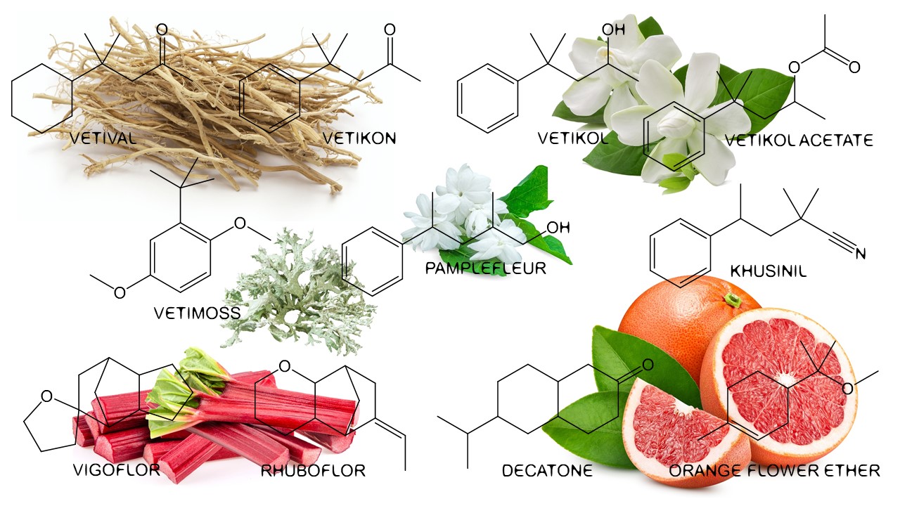 Different Kinds of Vetiver in Perfumery ~ Raw Materials