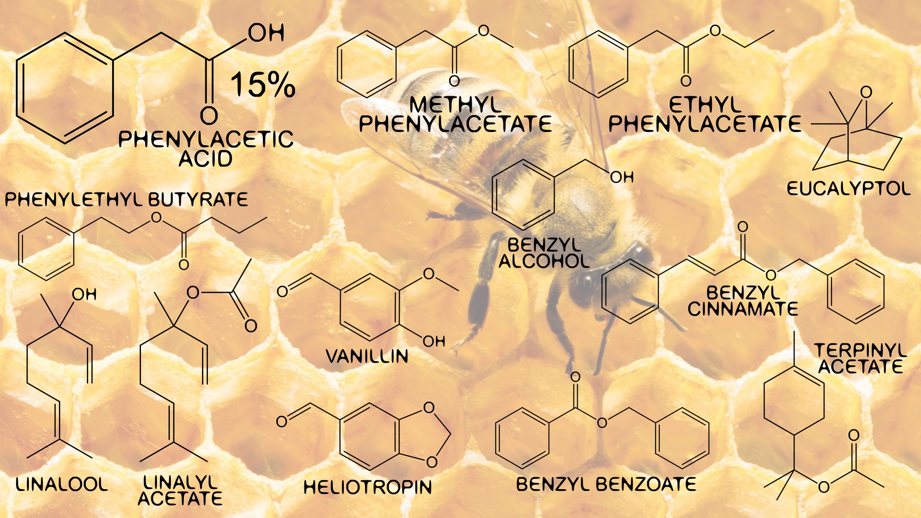 Honey Notes in Perfumery ~ Raw Materials