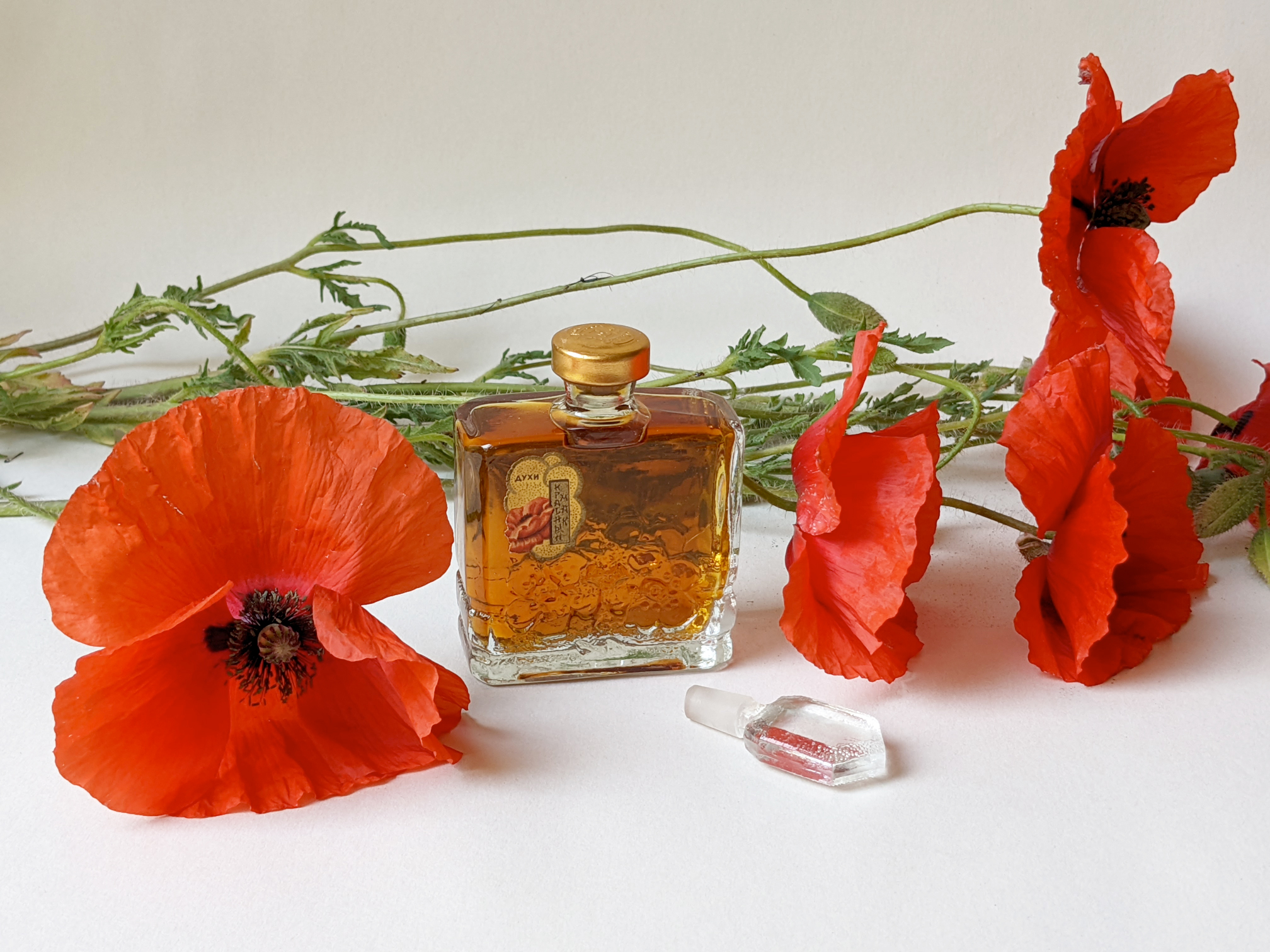'Krasny Mak' (Red Poppy): Younger Than It Seems ~ Vintage Fragrances