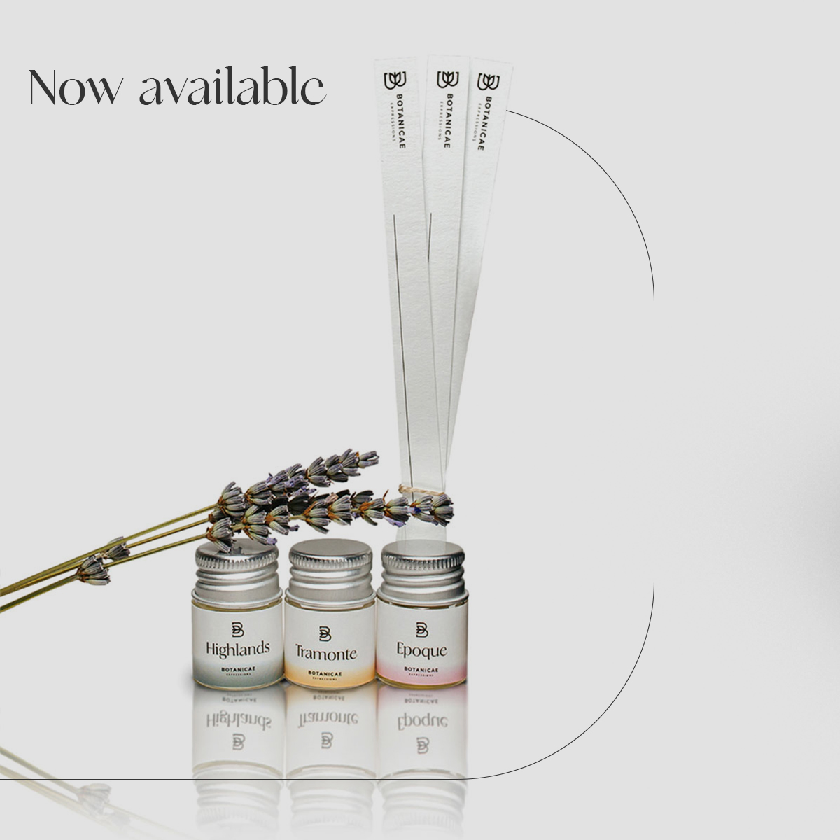 Botanicae Expressions: Fragrant Translations of Places ~ Fragrance Reviews