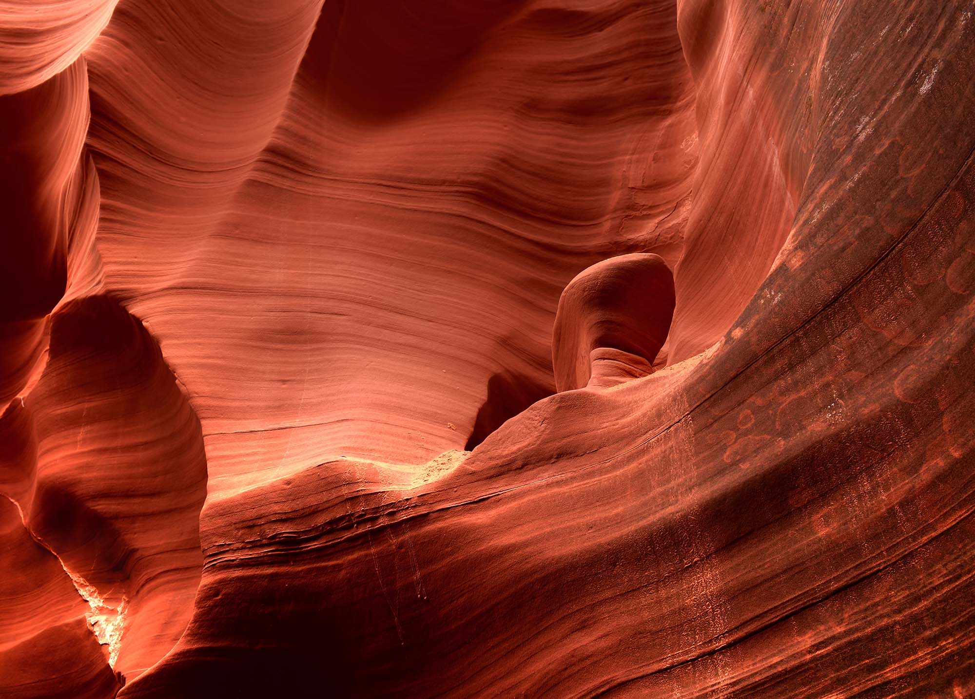 Wild West, Snakes and Sugar: DSH Perfumes' New Territory ~ Fragrance ...