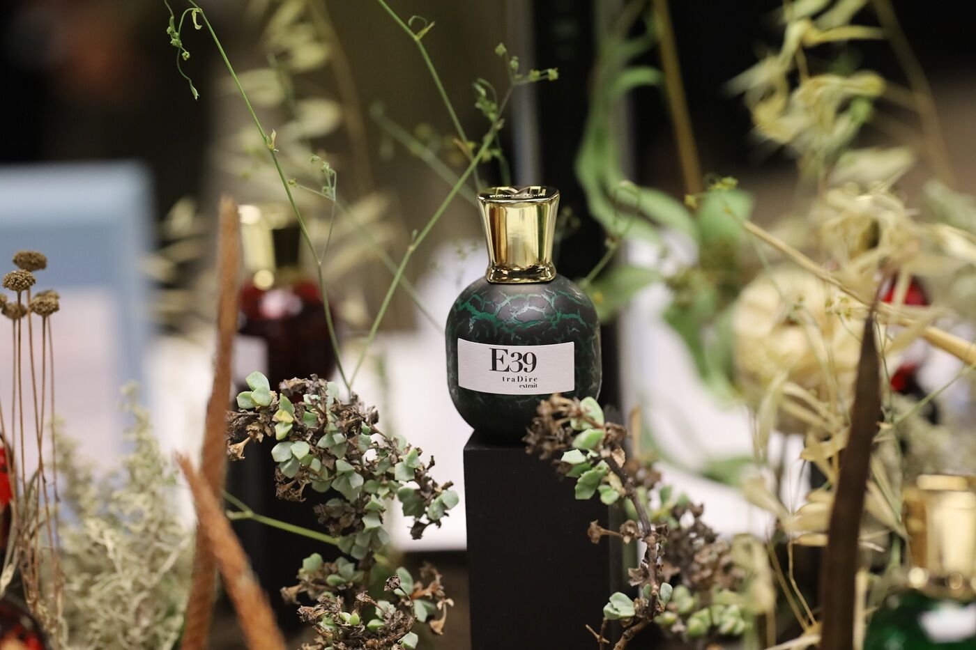 PITTI FRAGRANZE 2025: Michele Marin Launched traDire As A Deep Personal ...
