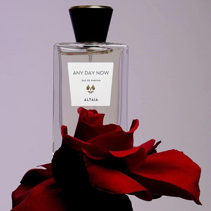 Eau d'Italie Mystic Sunset & Any Day Now by ALTAIA - Plus Some Insights ...