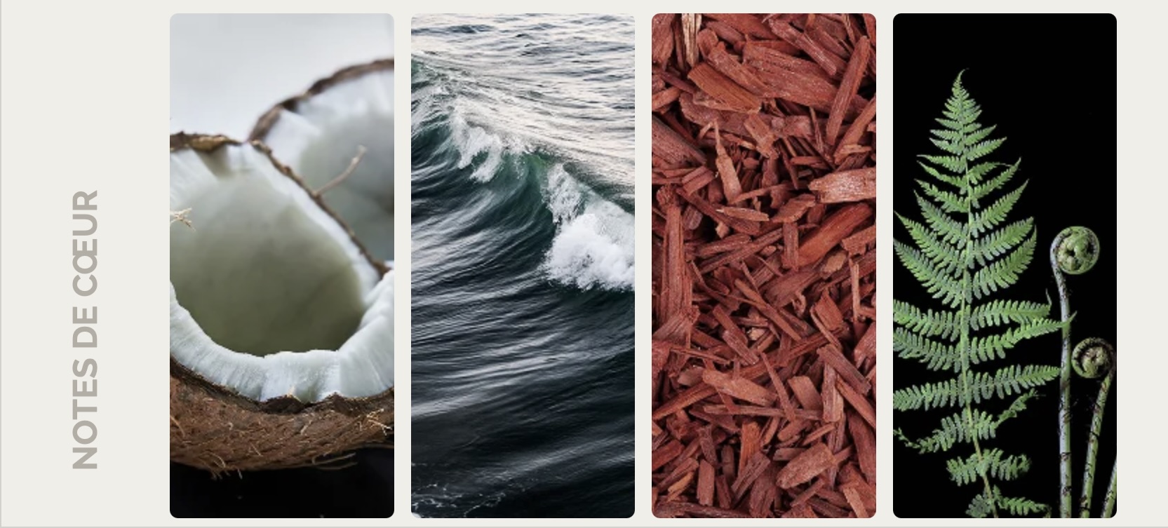 Varros — The New Fragrance by Particle ~ Fragrance News