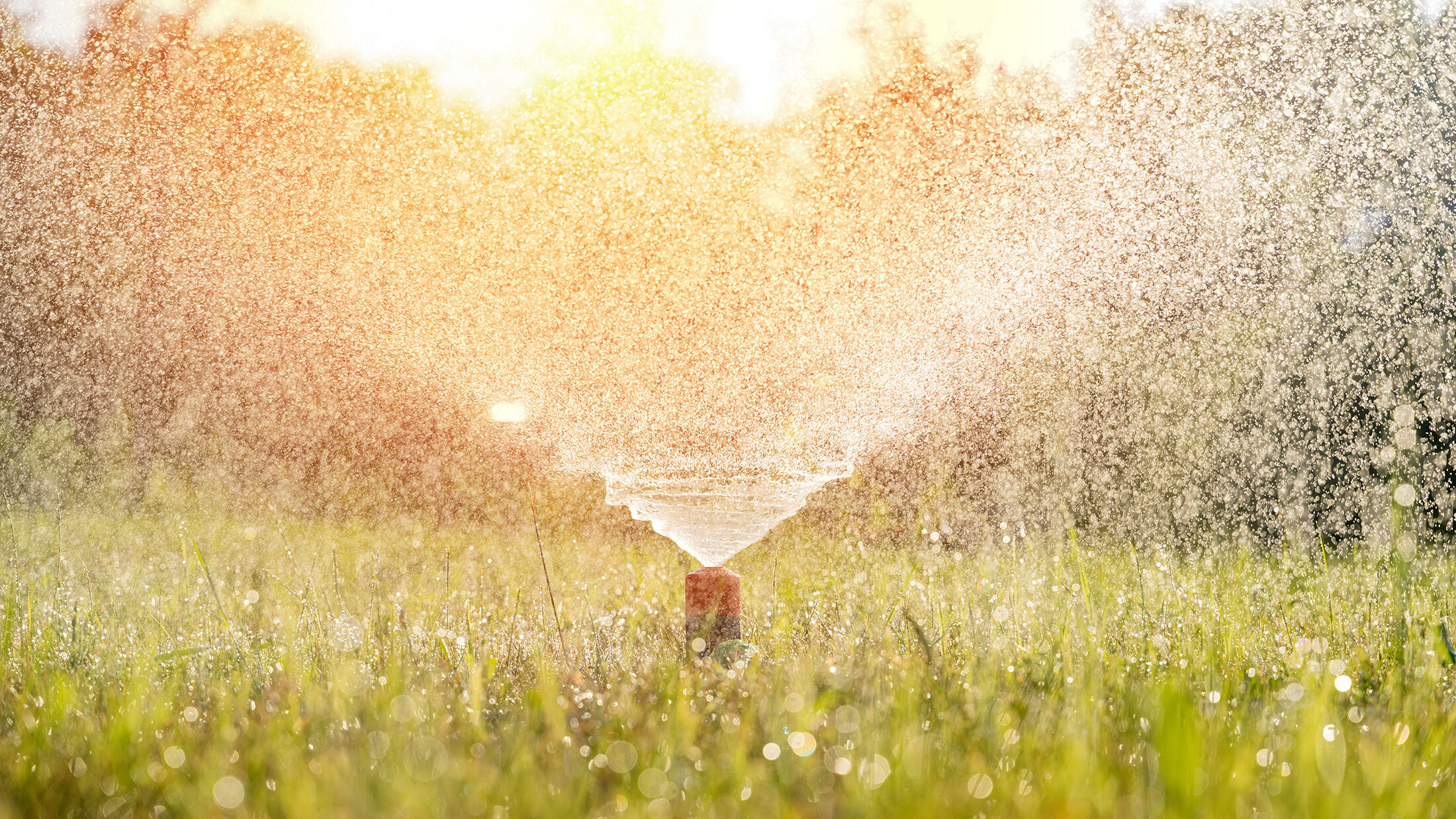 Halston Cologne: Strange, But True — Or, My Little Time Machine ~ Vintages