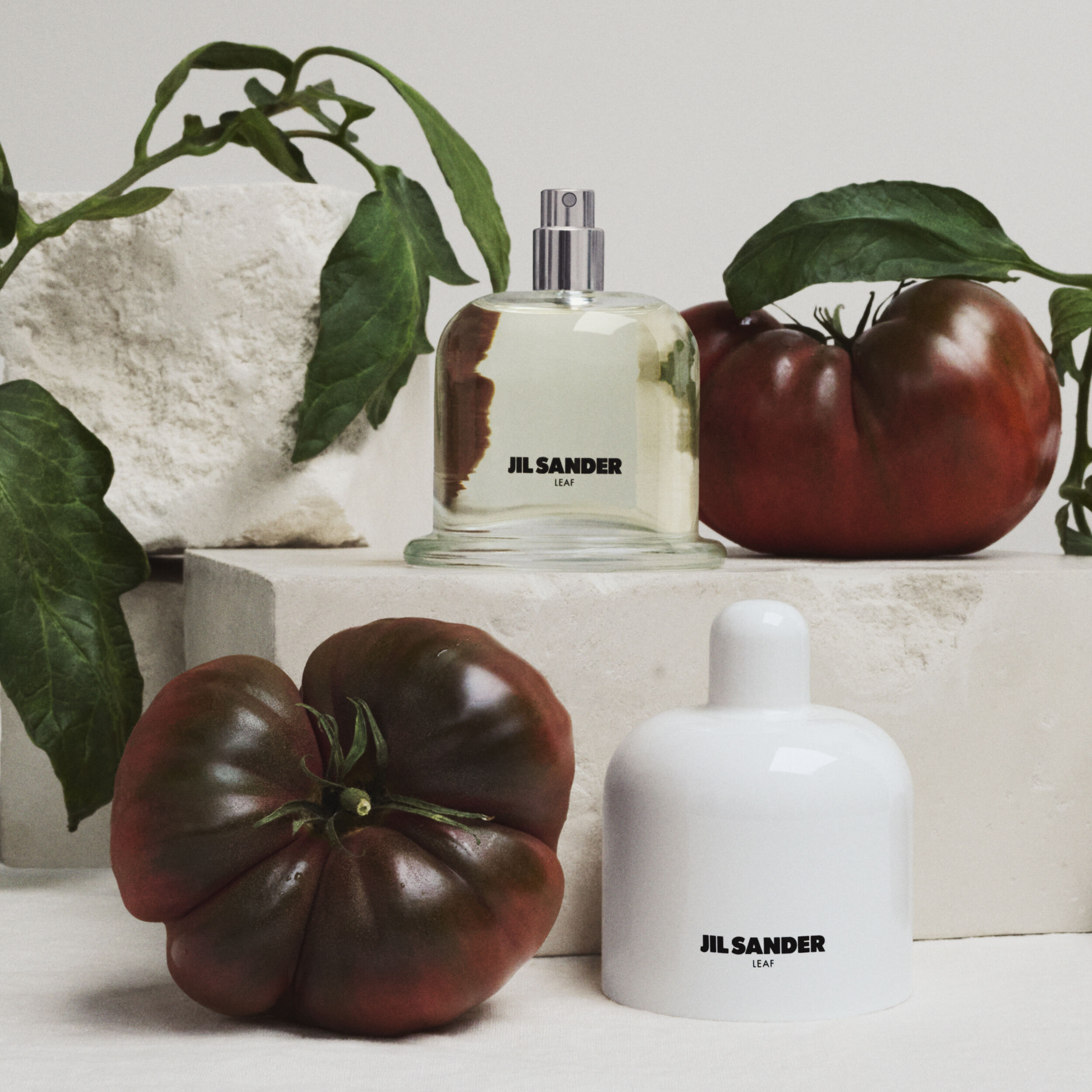 Jil Sander OLFACTORY SERIES 1: Black Tea, Coffea, Earth, Leaf, Miel ...