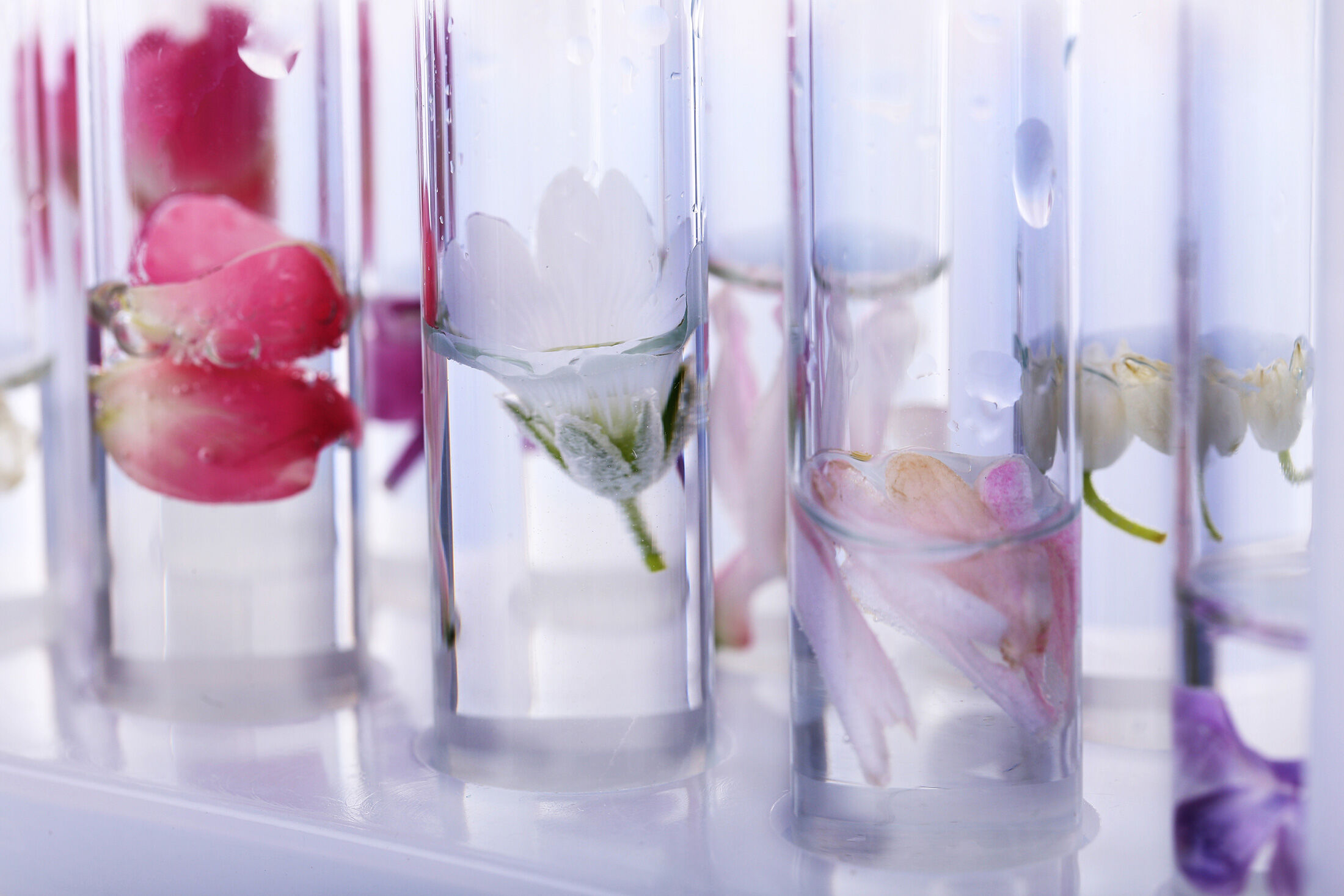 Mon Parfum: For Myself and for Everyone Else ~ Columns