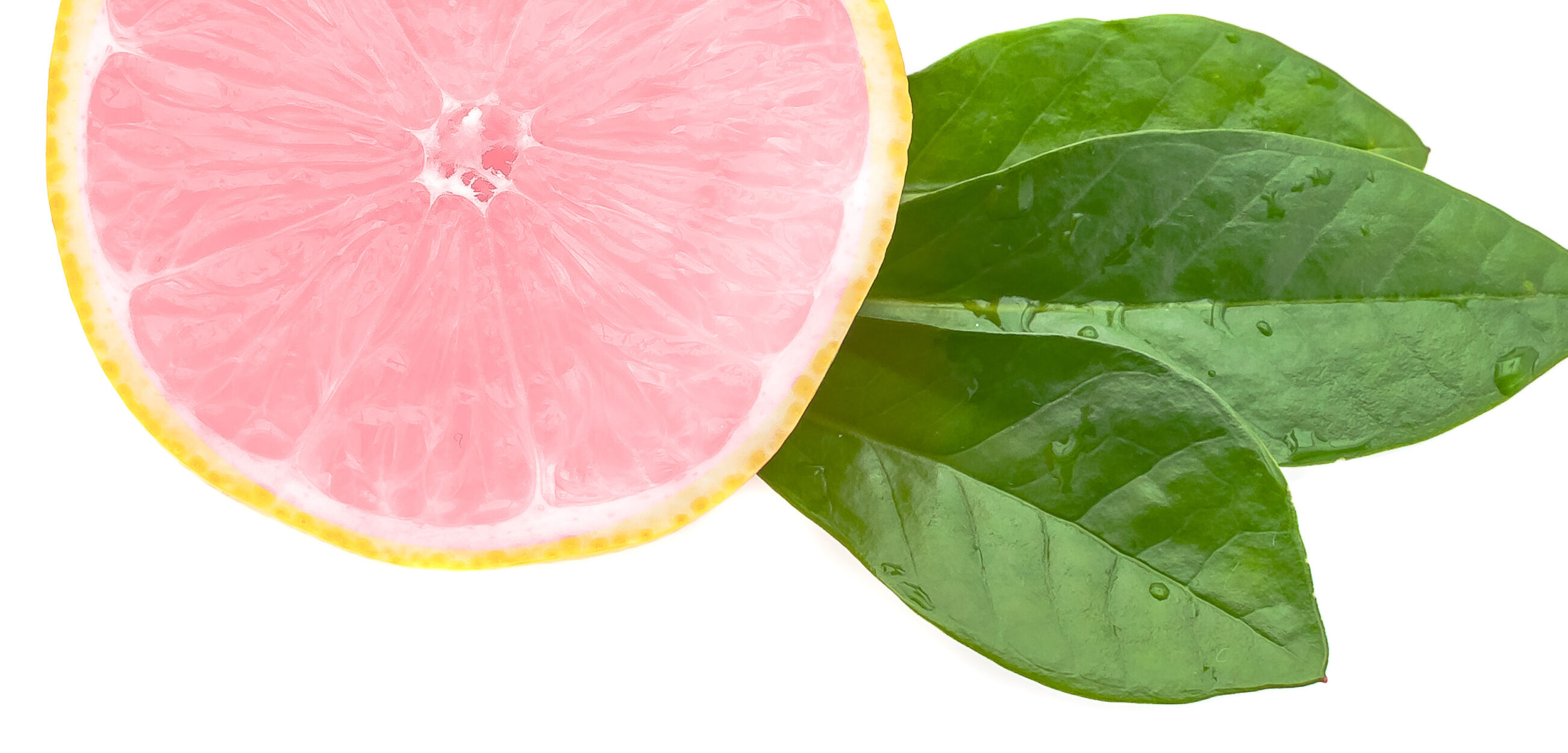 The Quiet, Slow Beauty of J-Scent: Peach, Rain, and Shaft of Light ...