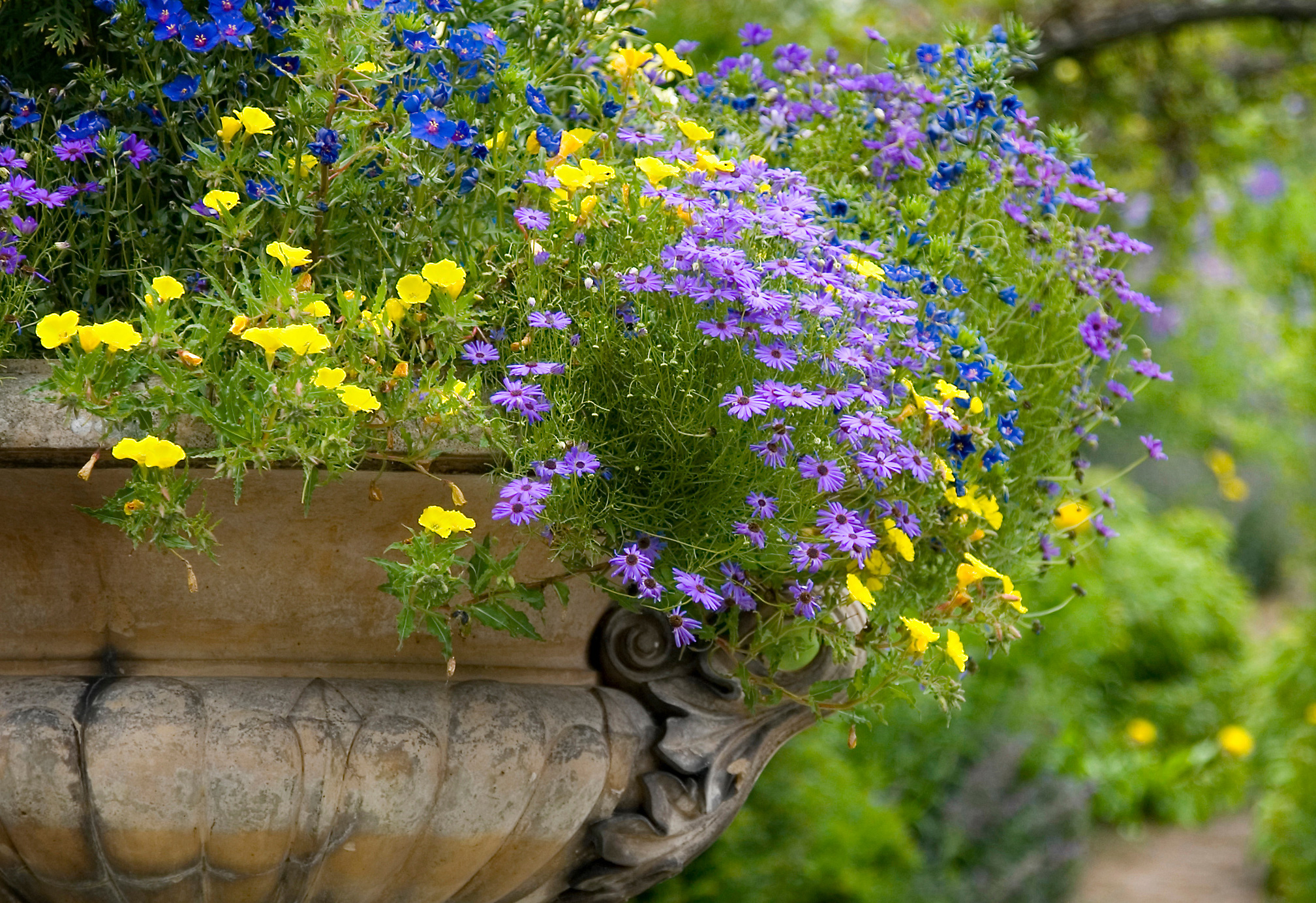 Highgrove Bouquet: A Most English Garden & A Return to The Roots ...