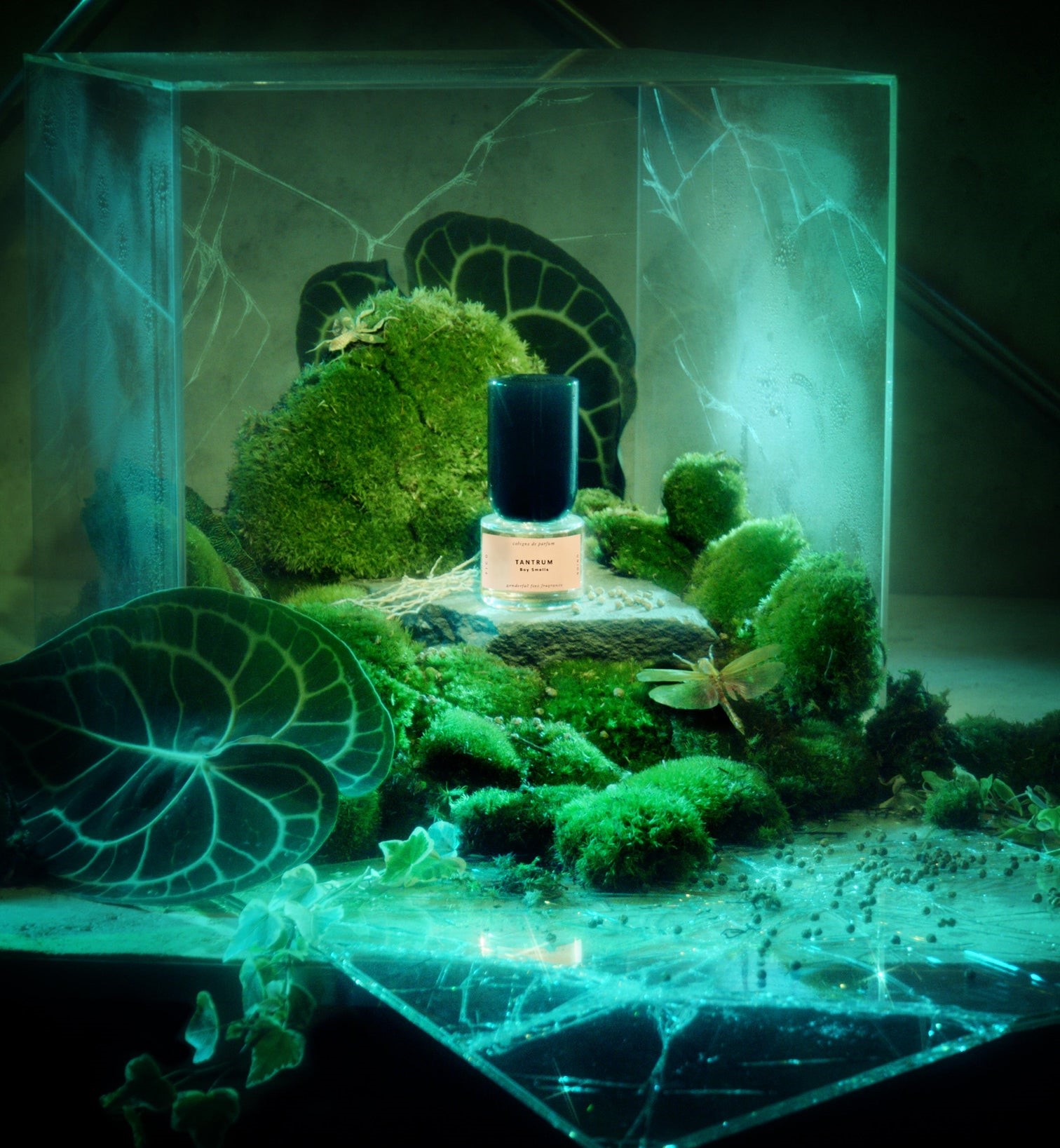 Boy Smells Tantrum: Green Pepper Hidden in the Leaves ~ Fragrance Reviews