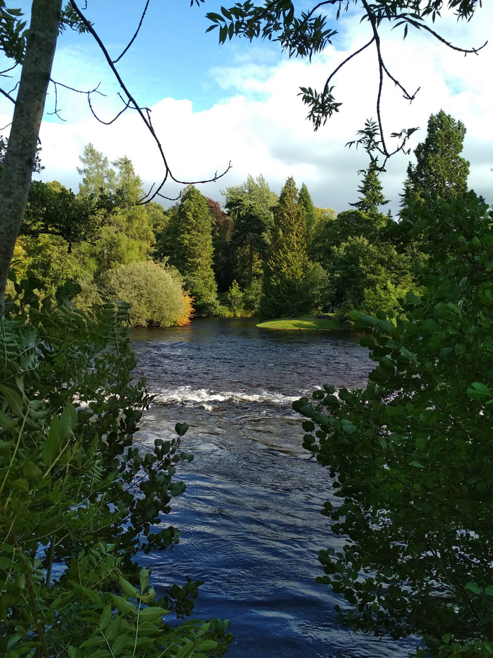 «INVERNESS» MEMO PARIS: ПОЧЕМУ? ~ Обзоры ароматов