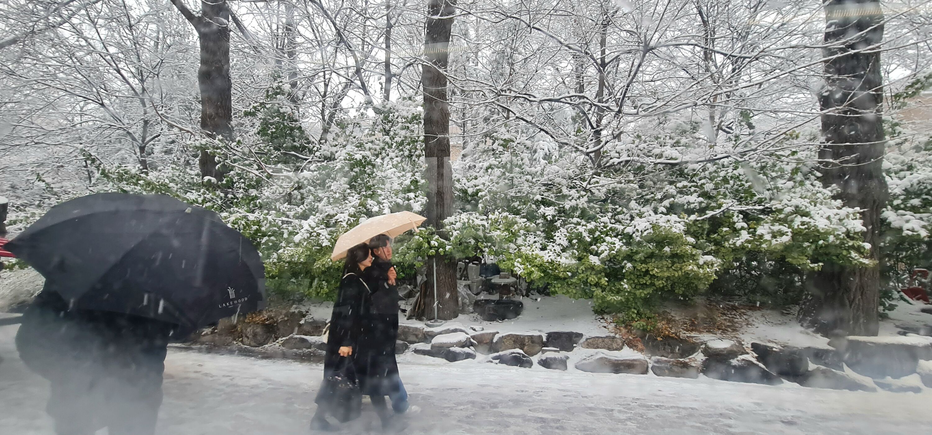 Citron 28 Le Labo Seoul Exclusive: A Beautiful Sunny Day Behind Glass ...