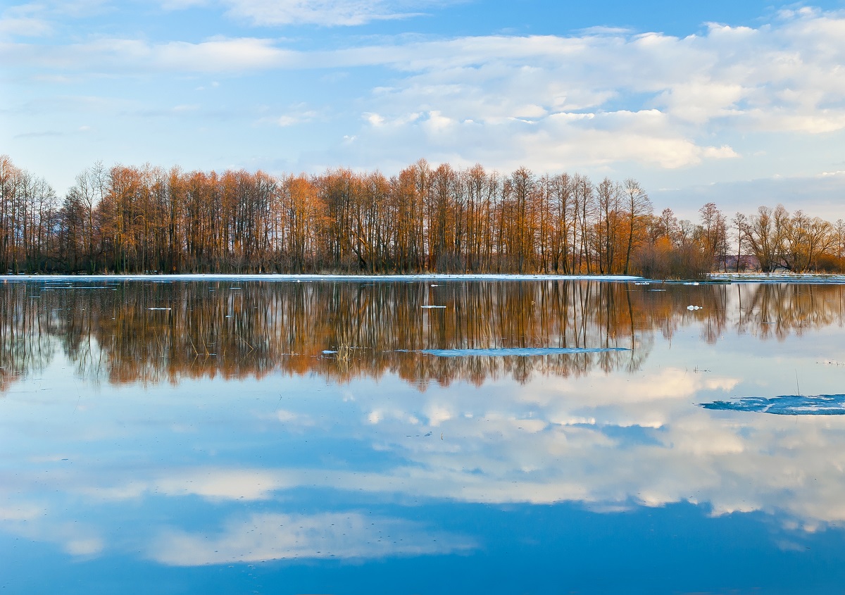 The Matin Lutens Collection: Spring Fragrances by Serge Lutens ...