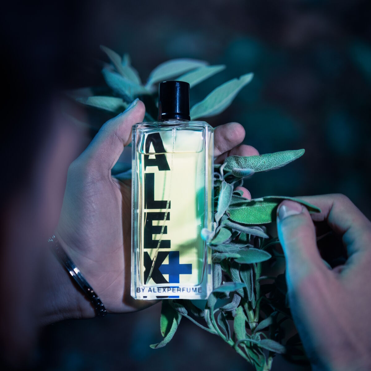 Alex+: Uma Jovem Marca Italiana ~ Avaliação de Fragrâncias