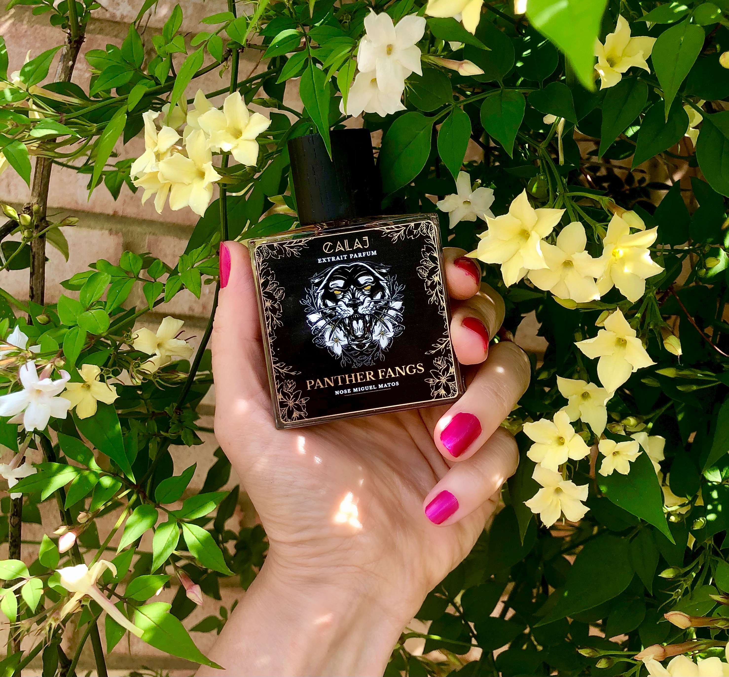 Romanian Niche Perfumery is Blooming: CALAJ & Friends ~ Fragrance Reviews