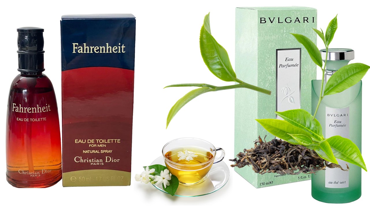 Tea in Perfume ~ Raw Materials