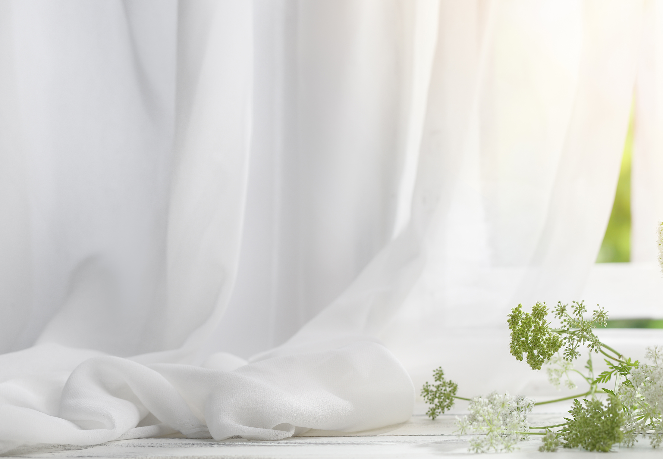 Airy, Green, and Porcelain Jasmines ~ Fragrance Reviews