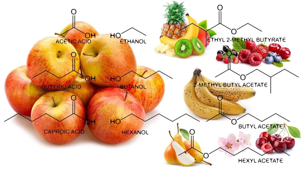 Green, Red, Sweet & Sour Apples in Perfumes ~ Raw Materials