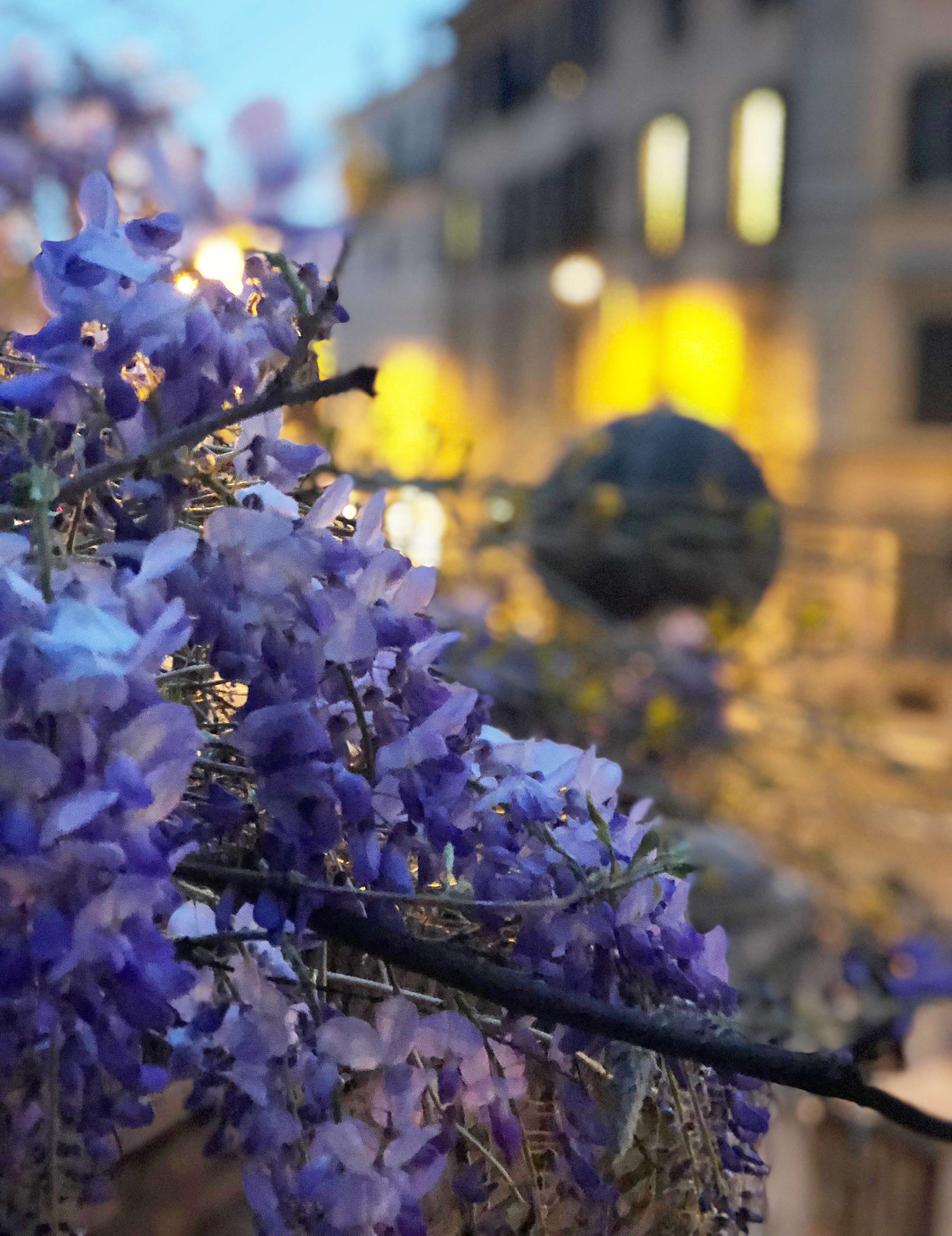 Wisteria Aerin – Για τους λάτρεις των ρεαλιστικών λουλουδάτων αρωμάτων ...