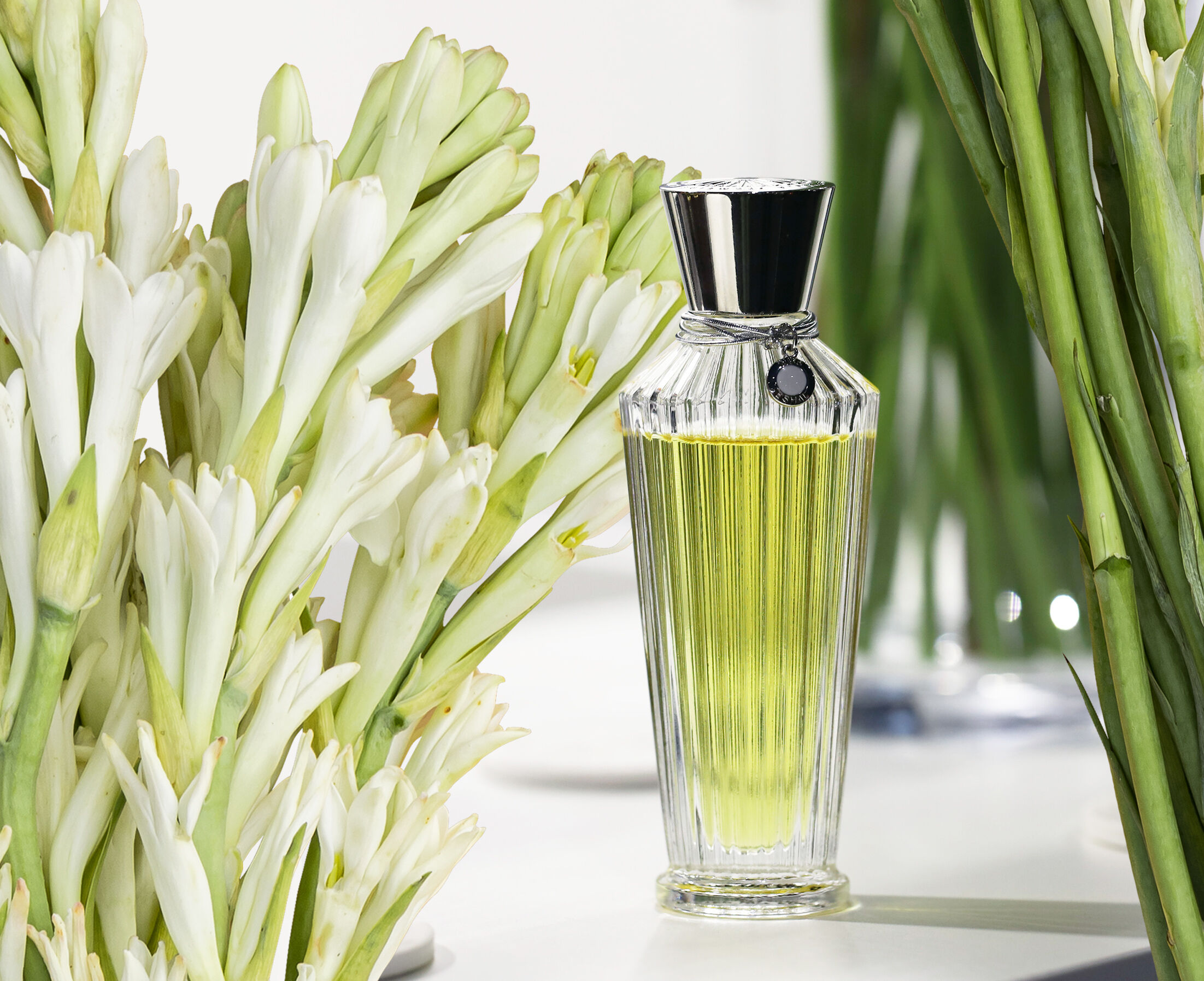 Eshal — Tuberosa Como Símbolo de Renascimento ~ Avaliação de Fragrâncias