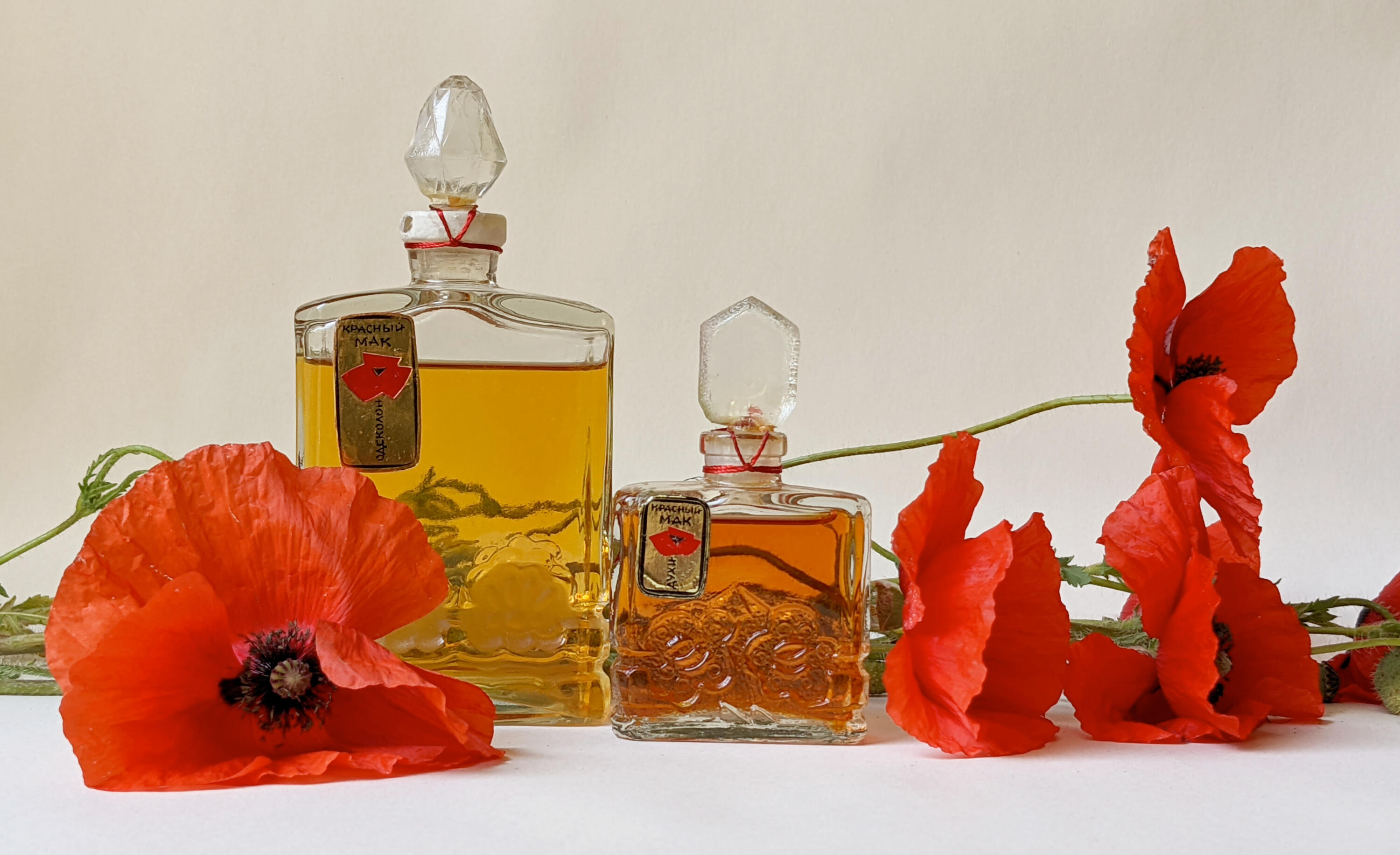 'Krasny Mak' (Red Poppy): Younger Than It Seems ~ Vintage Fragrances