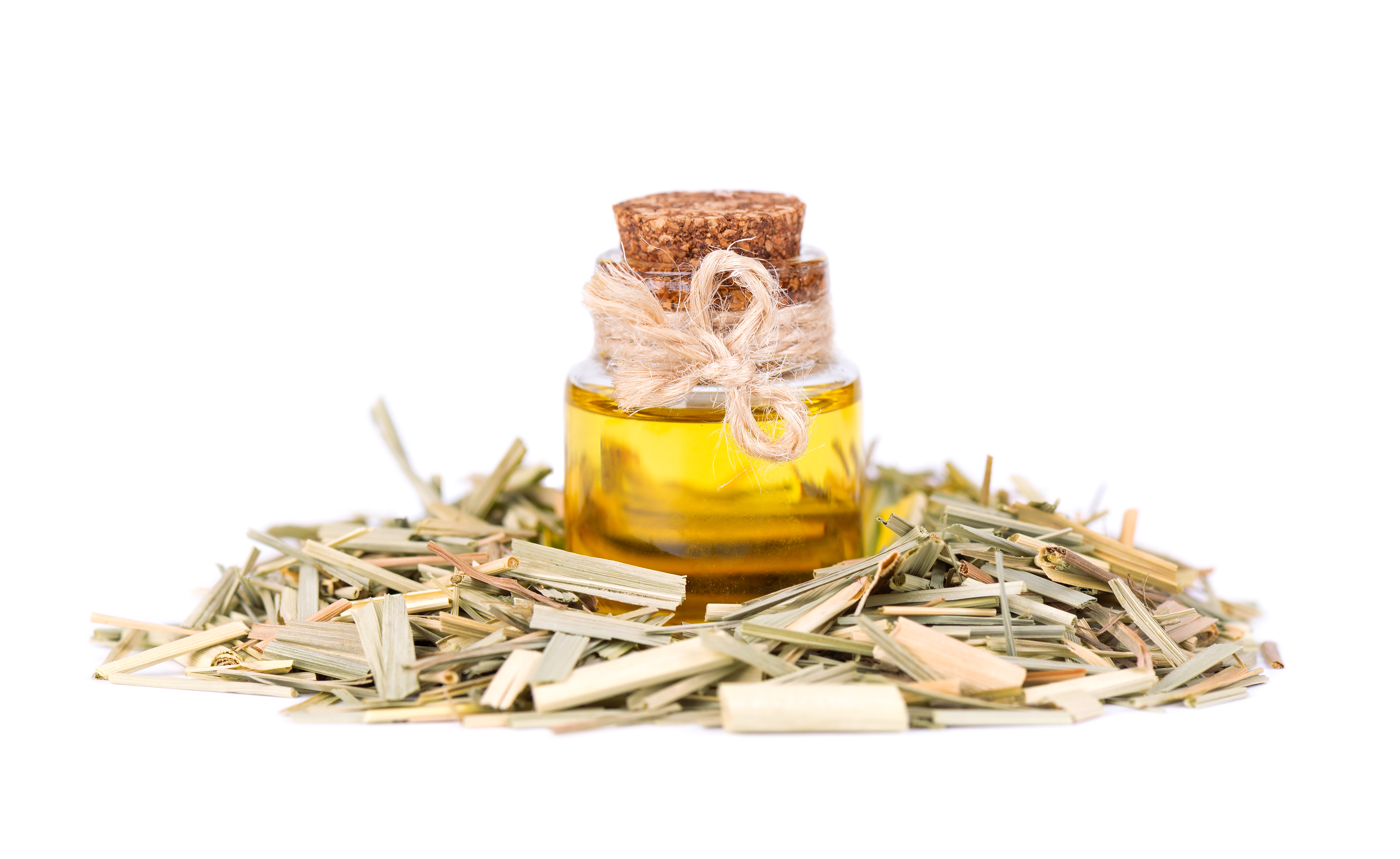 A Beloved Scented Grass From Brazil – Discover Citronella Grass ~ Raw ...