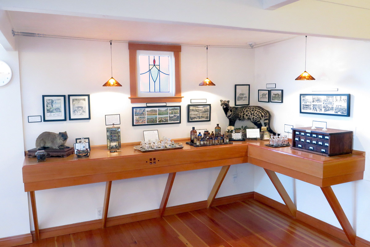 Mandy Aftel Presents 26 Exquisite New Perfumer's Botanicals ~ Natural ...