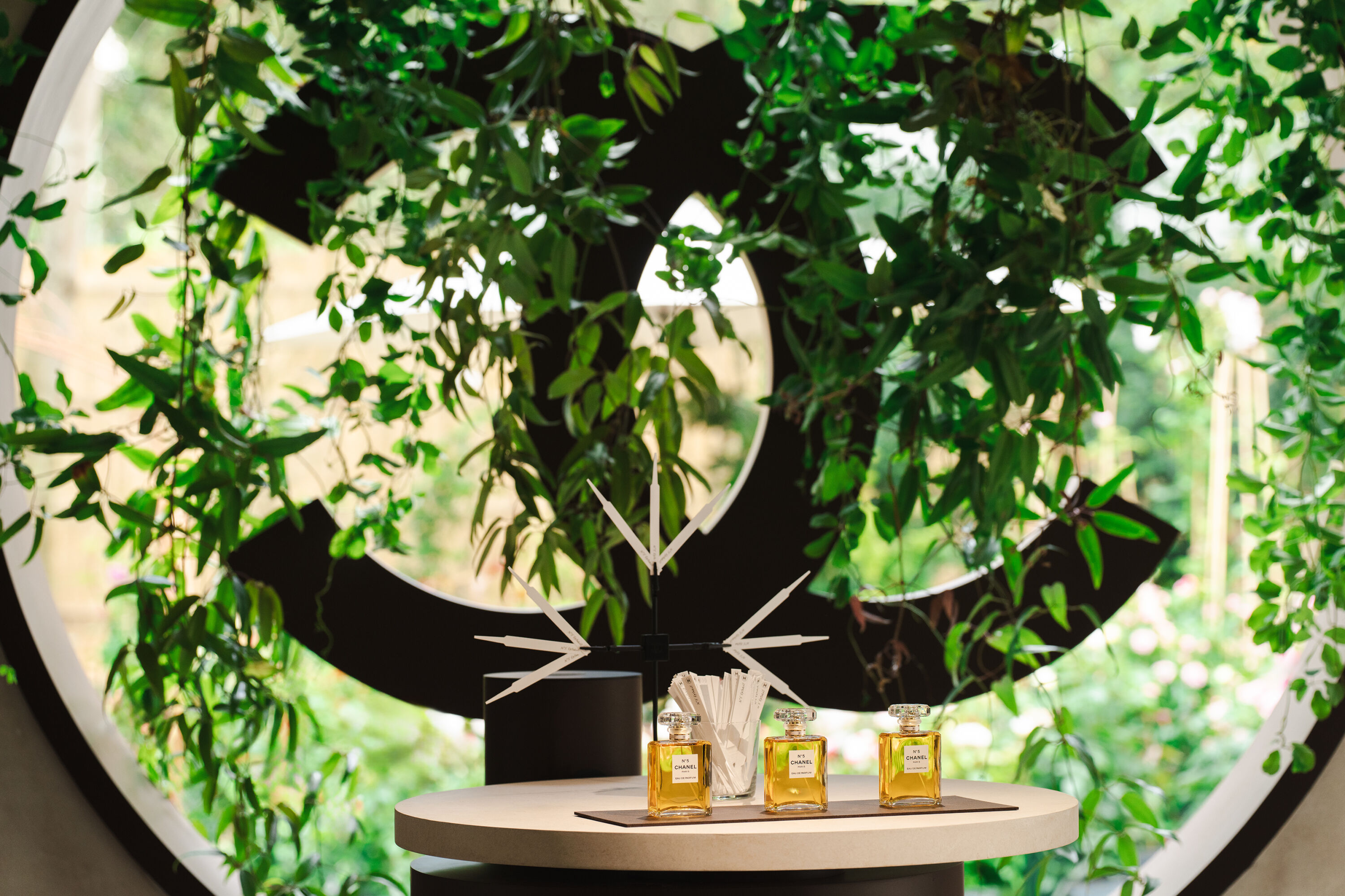 Plein phare sur la culture du bois de santal avec Chanel ~ Art Livres ...