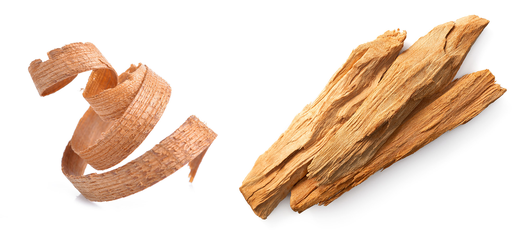 GUY FOX's Nelson Brings Us to the Woods and the Waves ~ Fragrance Reviews