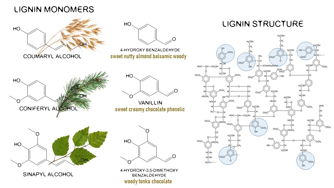 Vanillin in nature, food and perfumery ~ Raw Materials