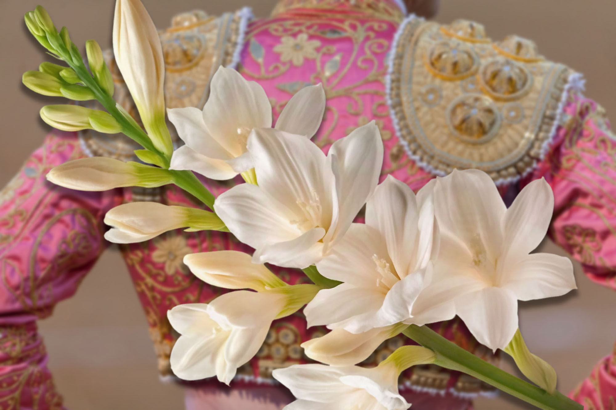 A Controversial Issue: Evil Flowers ~ Columns