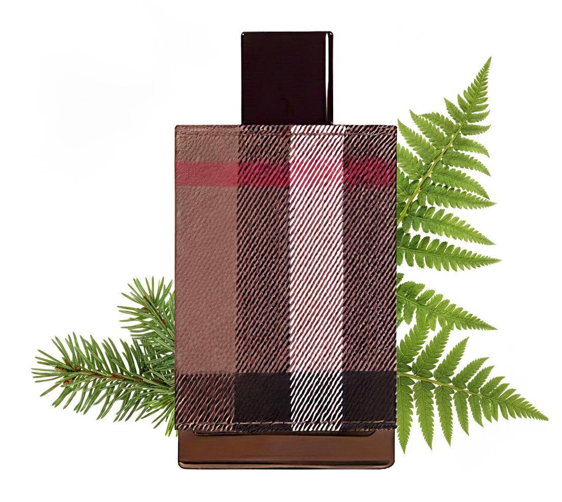 PERFUME GIFT SUGGESTIONS: For Young Men Aged 15-20, High School and ...