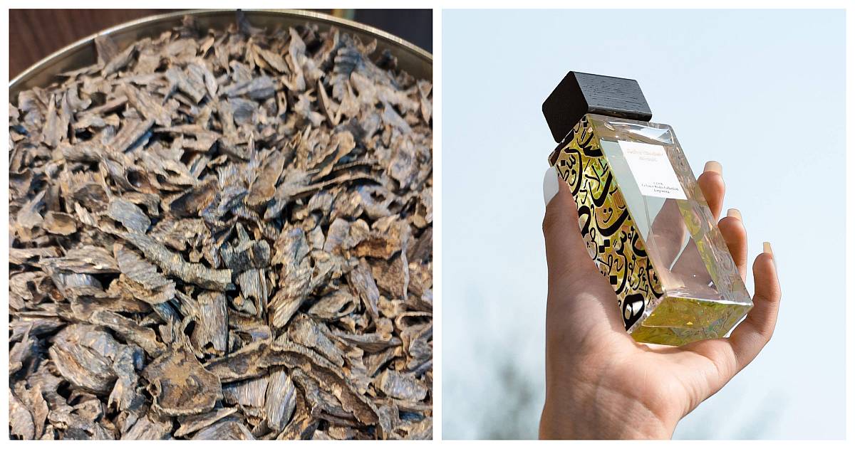 CZAR Perfumes: Russia As Seen From Kuwait ~ New Fragrances