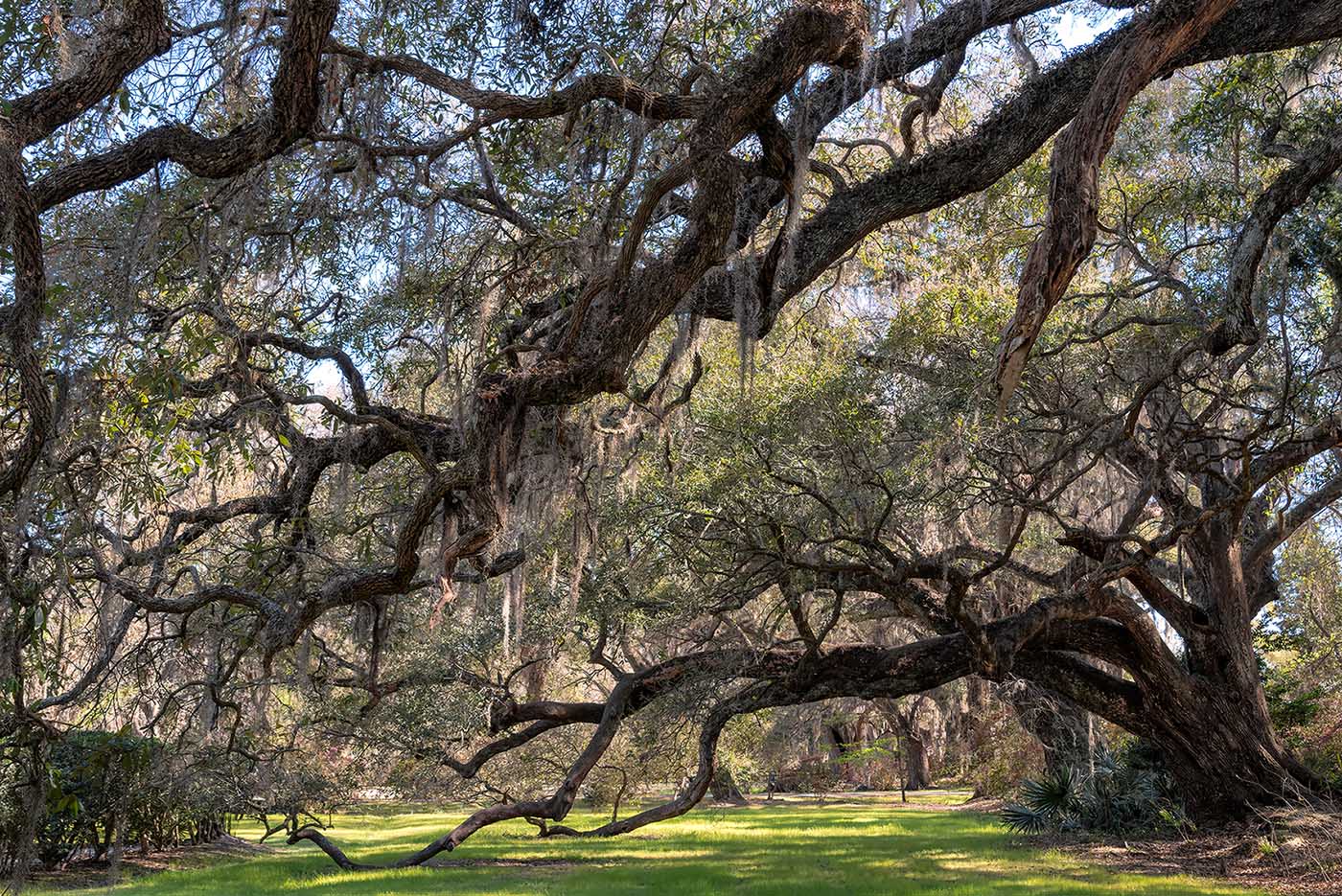 Pragmatic Folklore: An Interview with Lakenda Wallace of Modern Peasant ...