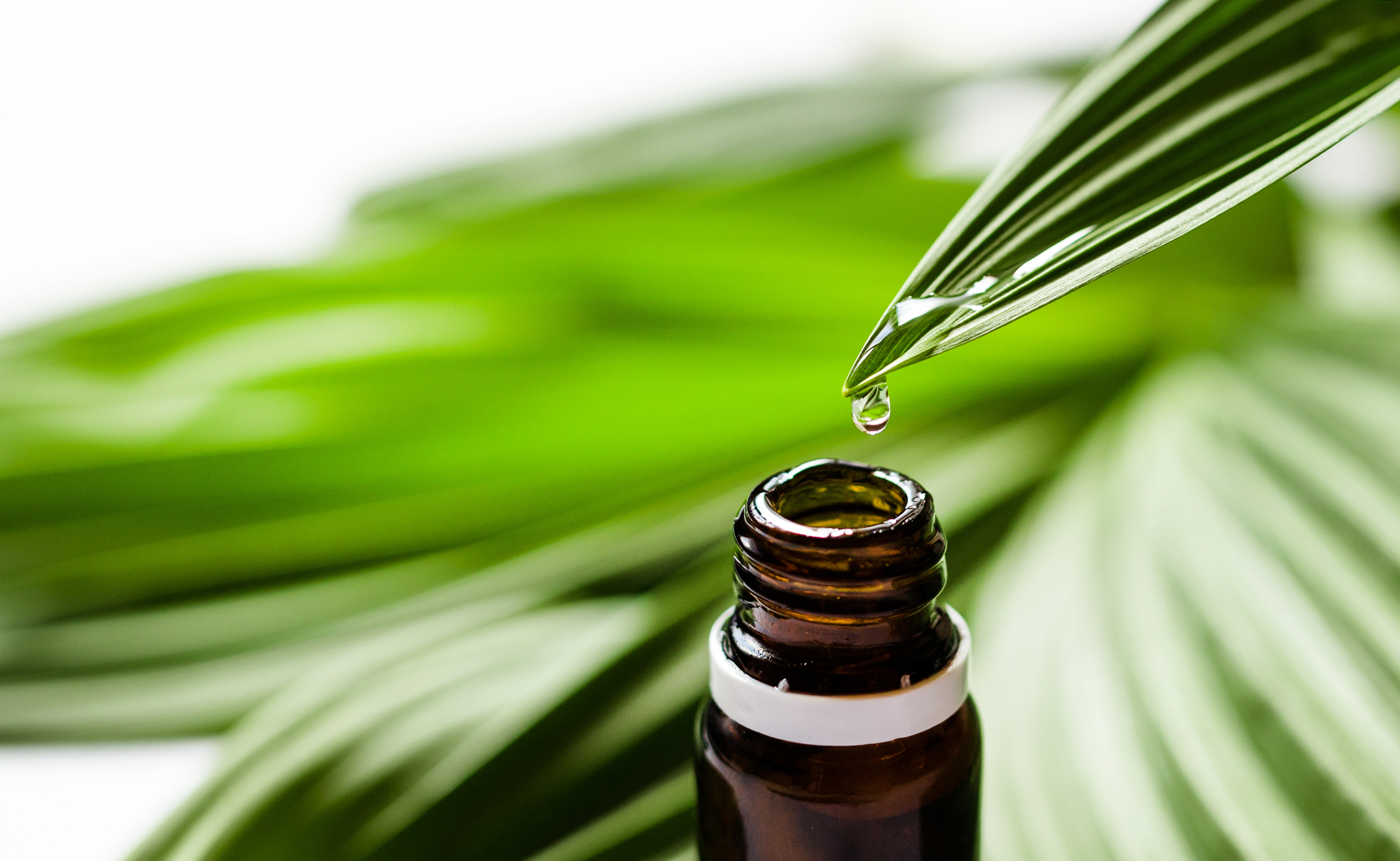 Alcohol, People, and Perfumery ~ Raw Materials
