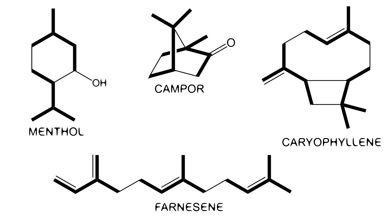 Terpenes: The Power of Nature Itself ~ Raw Materials