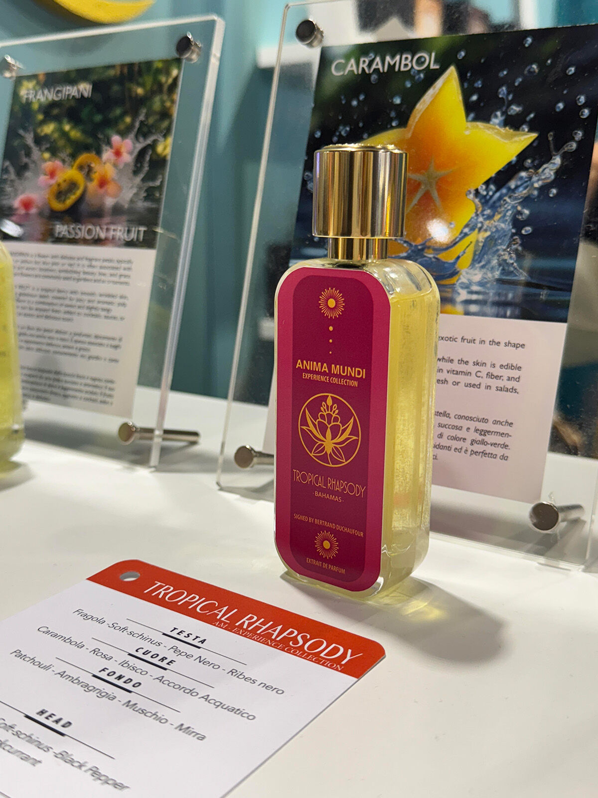 ESXENCE 2025: ANIMA MUNDI Experience Collection por Bertrand Duchaufour ~ Fragrancias Nicho