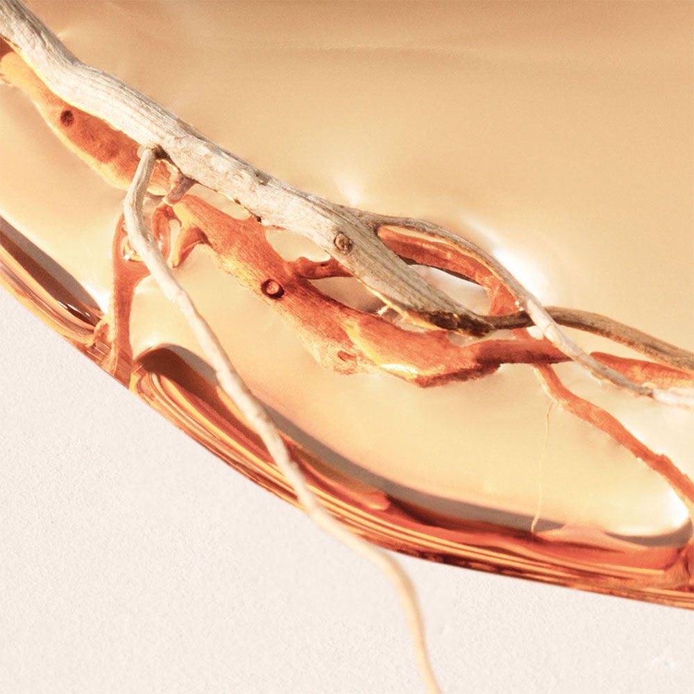 Boss Alive Intense - The Newest Fragrance From the Hugo Boss Alive ...